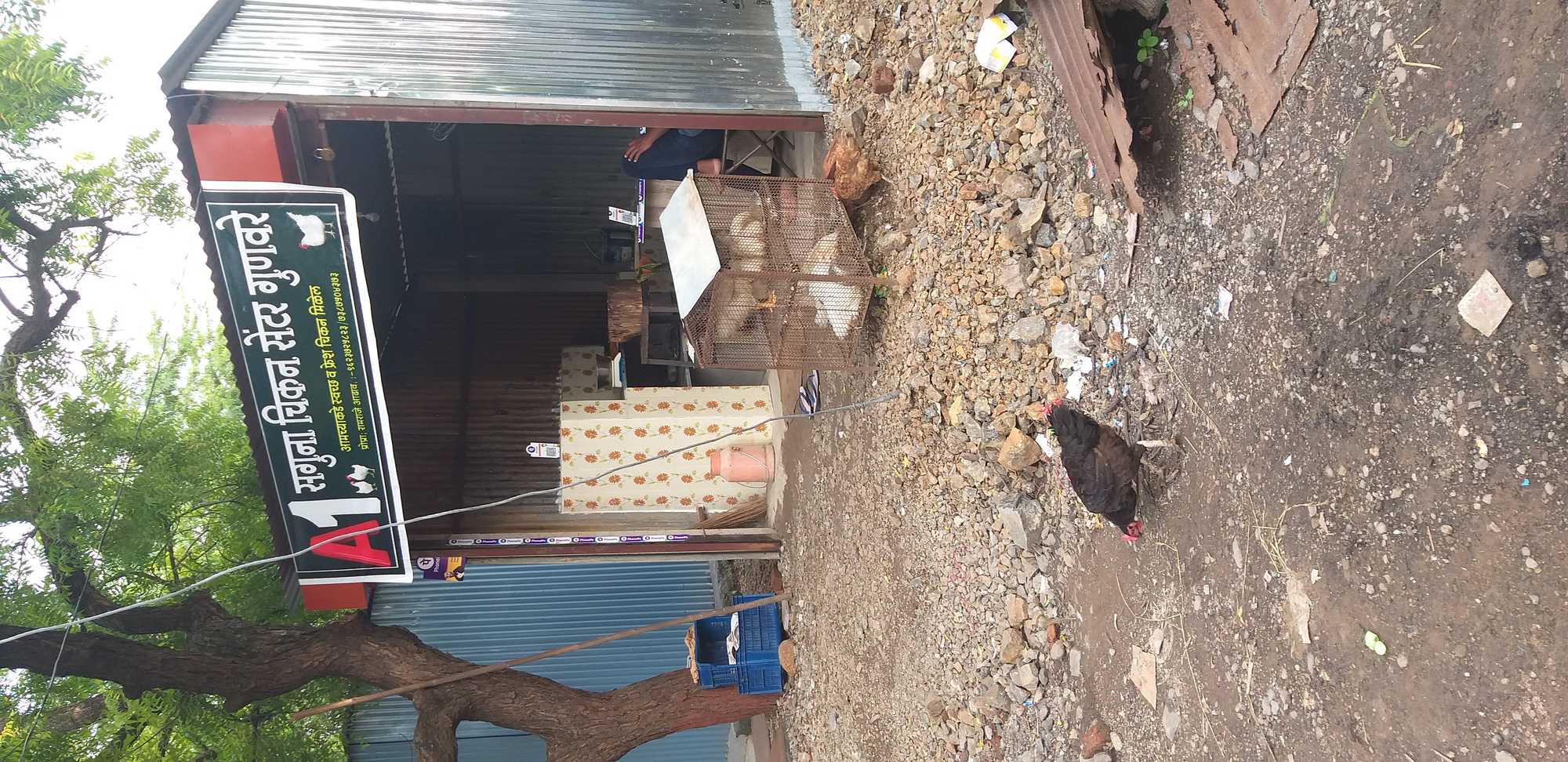 Tembre Poultry in Pimprad, Phaltan - Best Poultry Farms in Phaltan ...