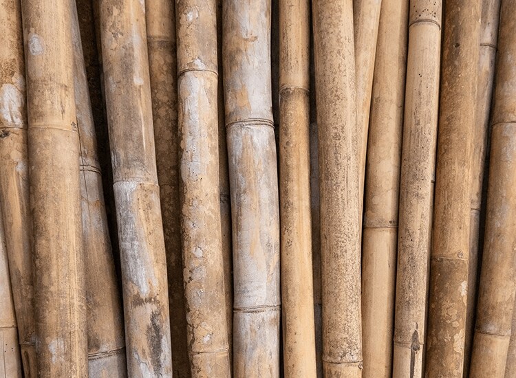 Top 100 Plywood Shops in Shimla - Best Plywood Suppliers - Justdial