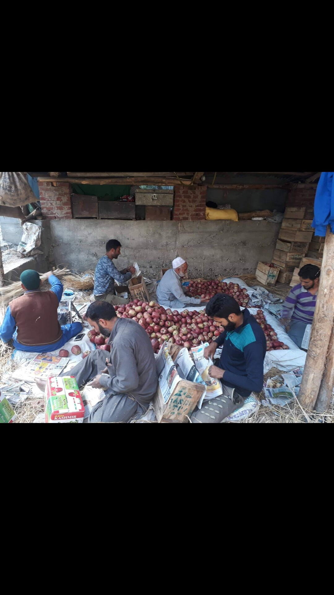 Abdul Samad Bhat in Ramnagri, Shopian - Best Fruit Growers in Shopian ...