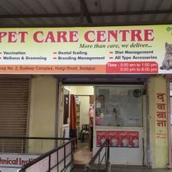 Pet Care Center in Hotagi Solapur Best Veterinary Clinics in Solapur Justdial