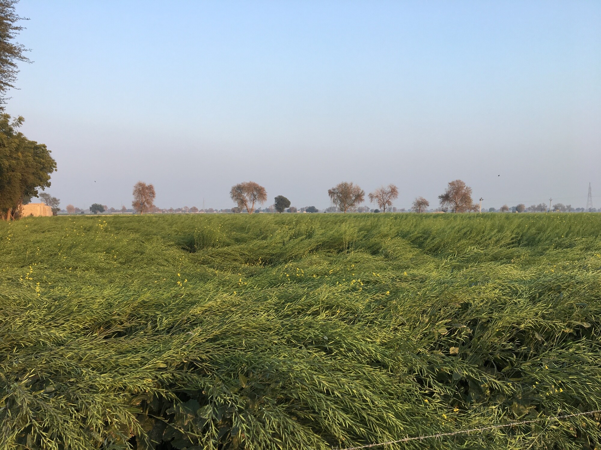 Catalogue - Waterworks in Sri Ganganagar Rajasthan - Justdial