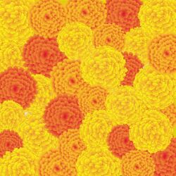 Manappuram Finance Ltd (Corporate Office) Photos, Valapad, Thrissur ...