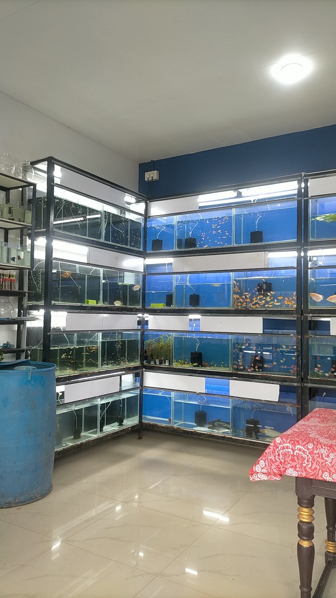Poseidon Aqua in Kodakara, Thrissur - Best Fish Processing Machinery ...