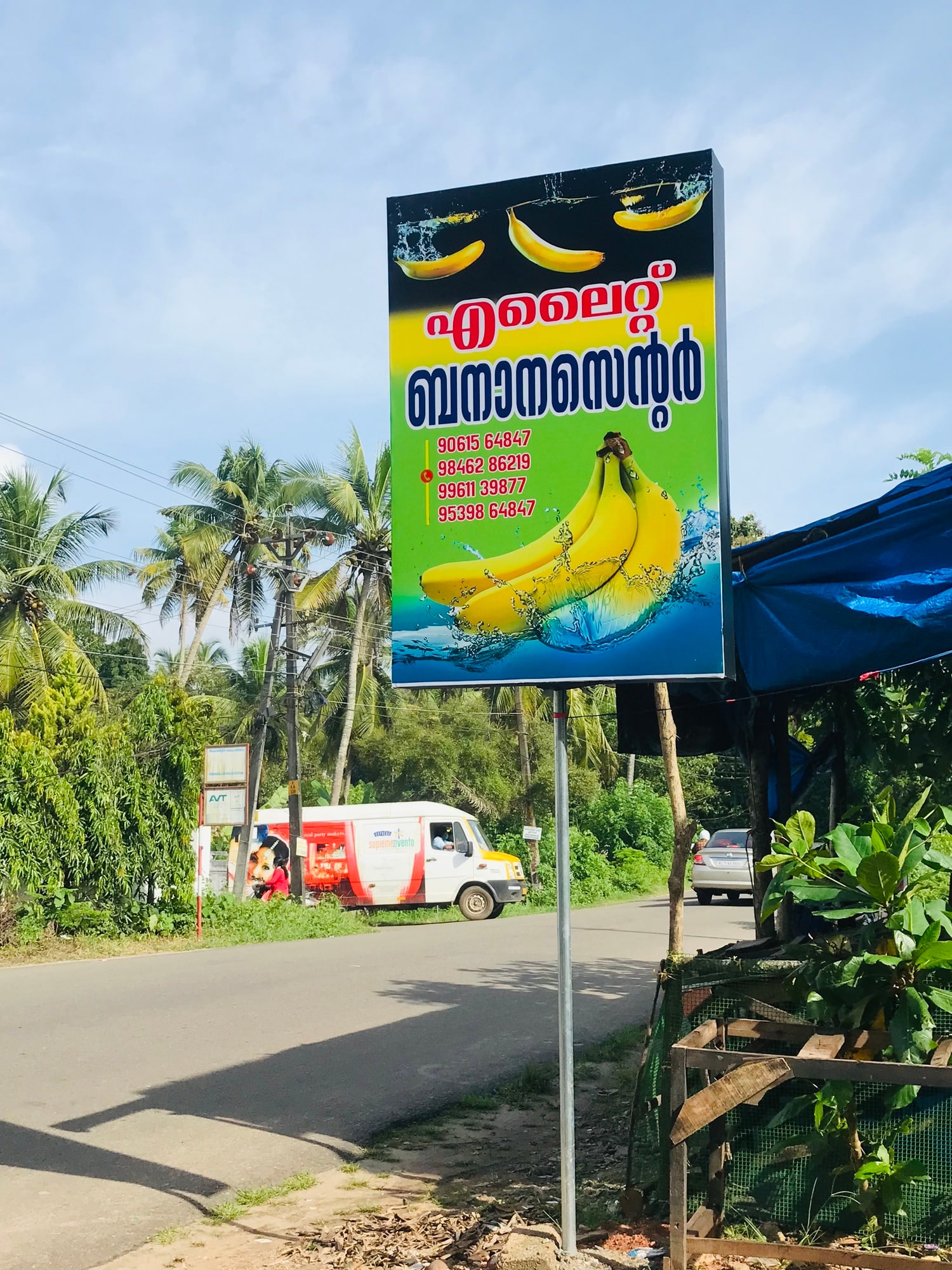 Elite Banana Center Paybazar in Paybazar, Thrissur - Best Banana Fruit ...