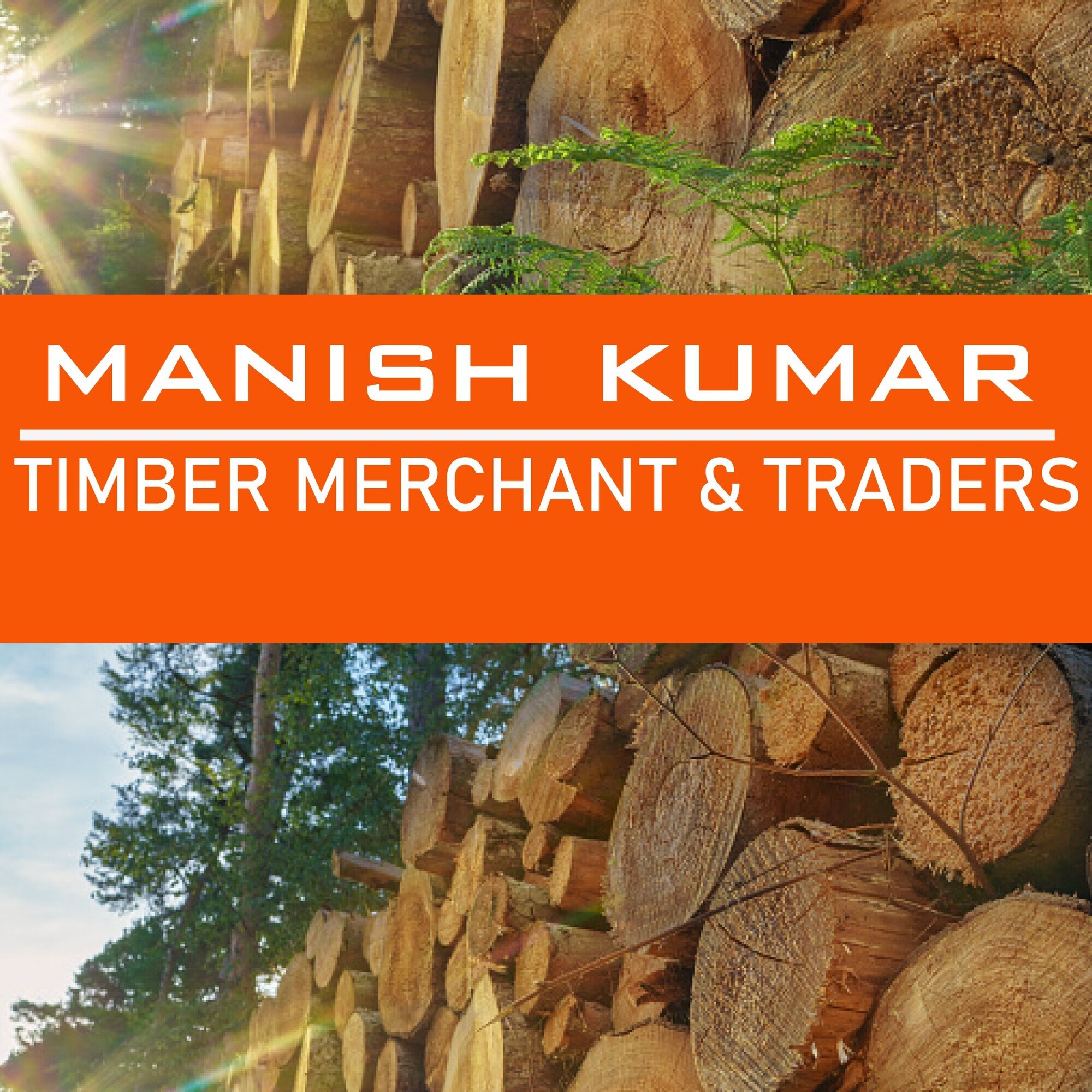 Manish Kumar Timbers in Kodannur, Thrissur - Best Timber Dealers in ...