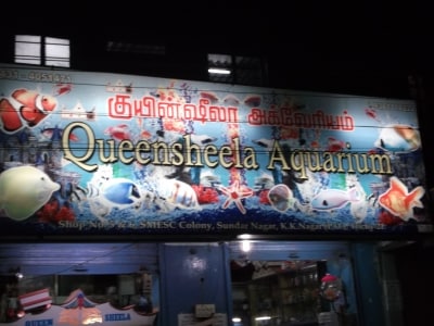 Top Fish Aquarium Dealers in Trichy - Best Fish Aquarium Shops - Justdial