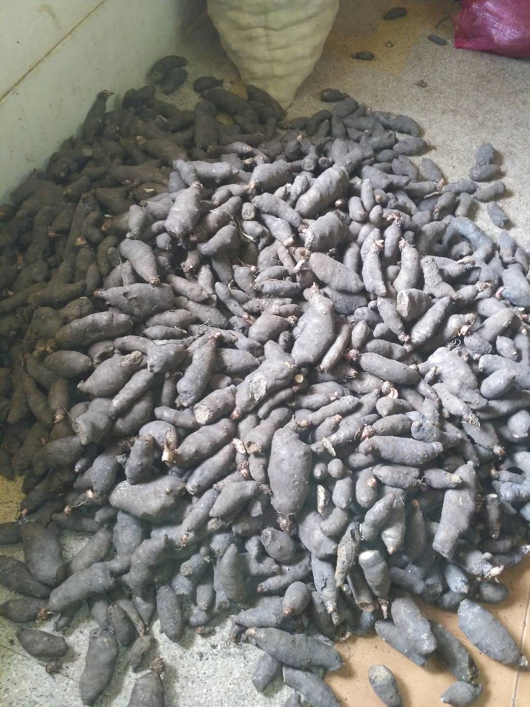 Expo Trading in Poonampalayam, Trichy - Best Spice Exporters in Trichy ...