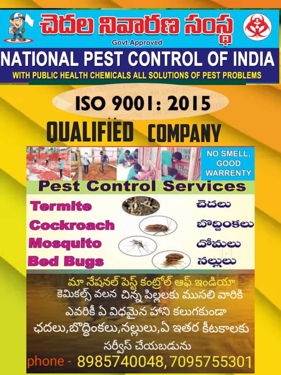 Pest Control Services for Bed Bugs near Keys Lite Hotel Gajuwaka ...