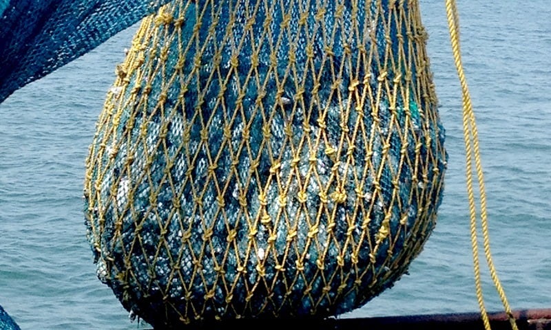 Nylon Fishing Net with 1.5 Thickness and Multi Layer Structure in ...