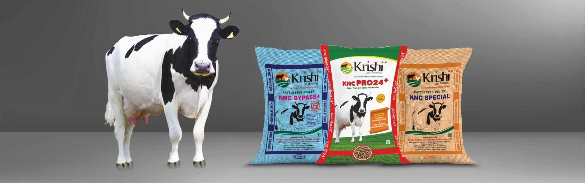Cattle Pellet Feed in Jodhpur at ₹ 7,200 - ₹ 44,800 / Tn by Shiv Agro ...