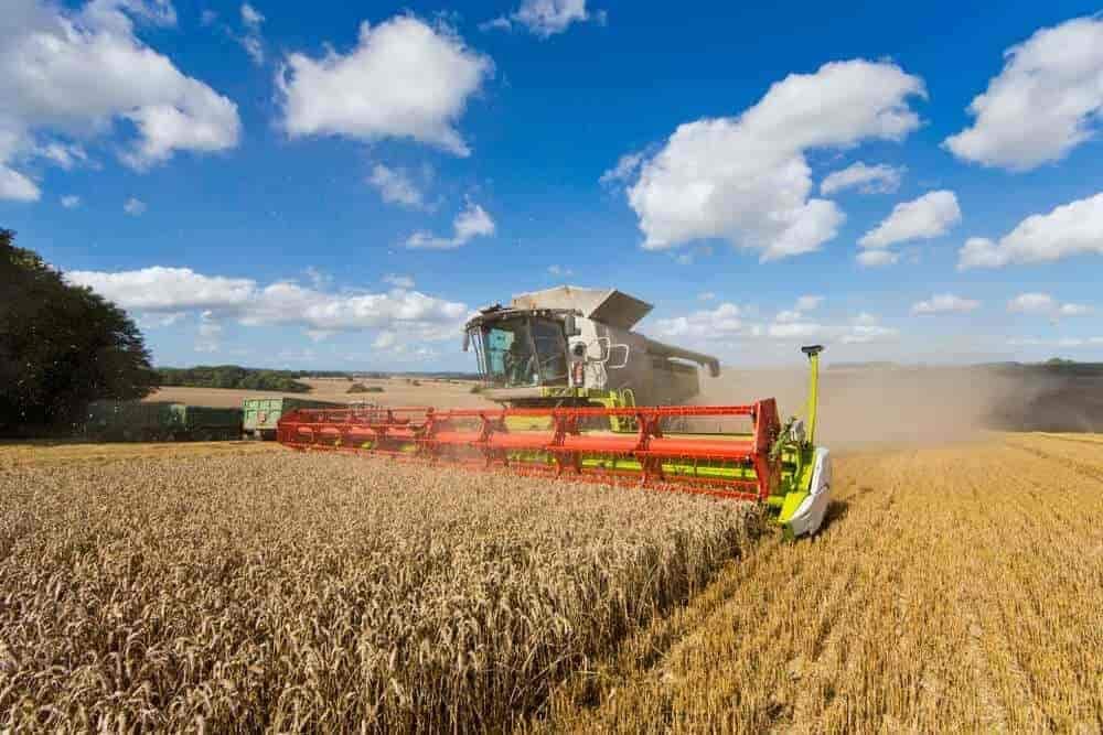 Agricultural Cultivation Services in Delhi at best price by Odbc Agro ...