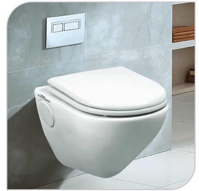 Avion Wall Hung Dual Flush Toilet, Ceramic, Double Cyclone Flush in ...