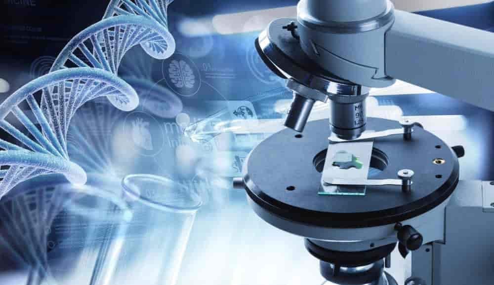Lupin Biotech Ltd in Ghotawadi, Pune - Best Biotechnology Services in ...
