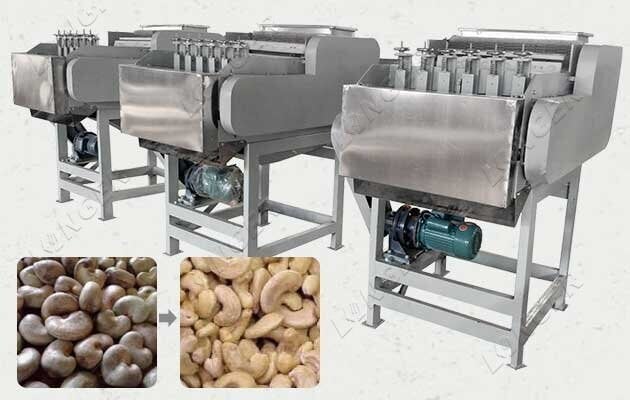 Cashew Nut Shelling Machine in Delhi at ₹ 79,999 - ₹ 97,999 / Unit by ...
