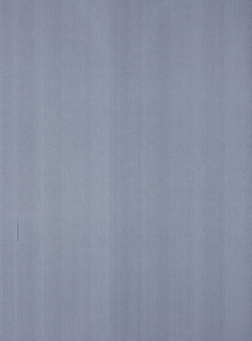 Century Ply Lucida Glitters Silver Glacier in Ahmedabad at best price ...