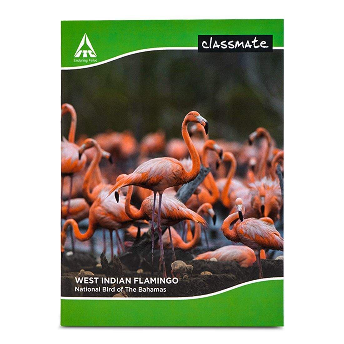 Classmate Notebook (240 x 180) 172 Pages -3 In 1 (Ruled/Four Lines With ...