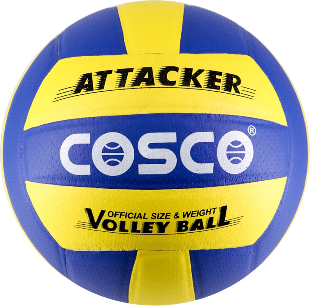 Buy volleyball store