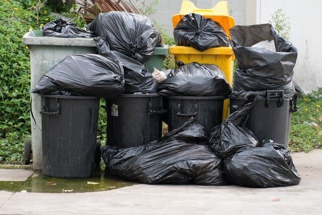 Door To Door Garbage Collection Services in Bangalore at ₹ 259 / Visit ...