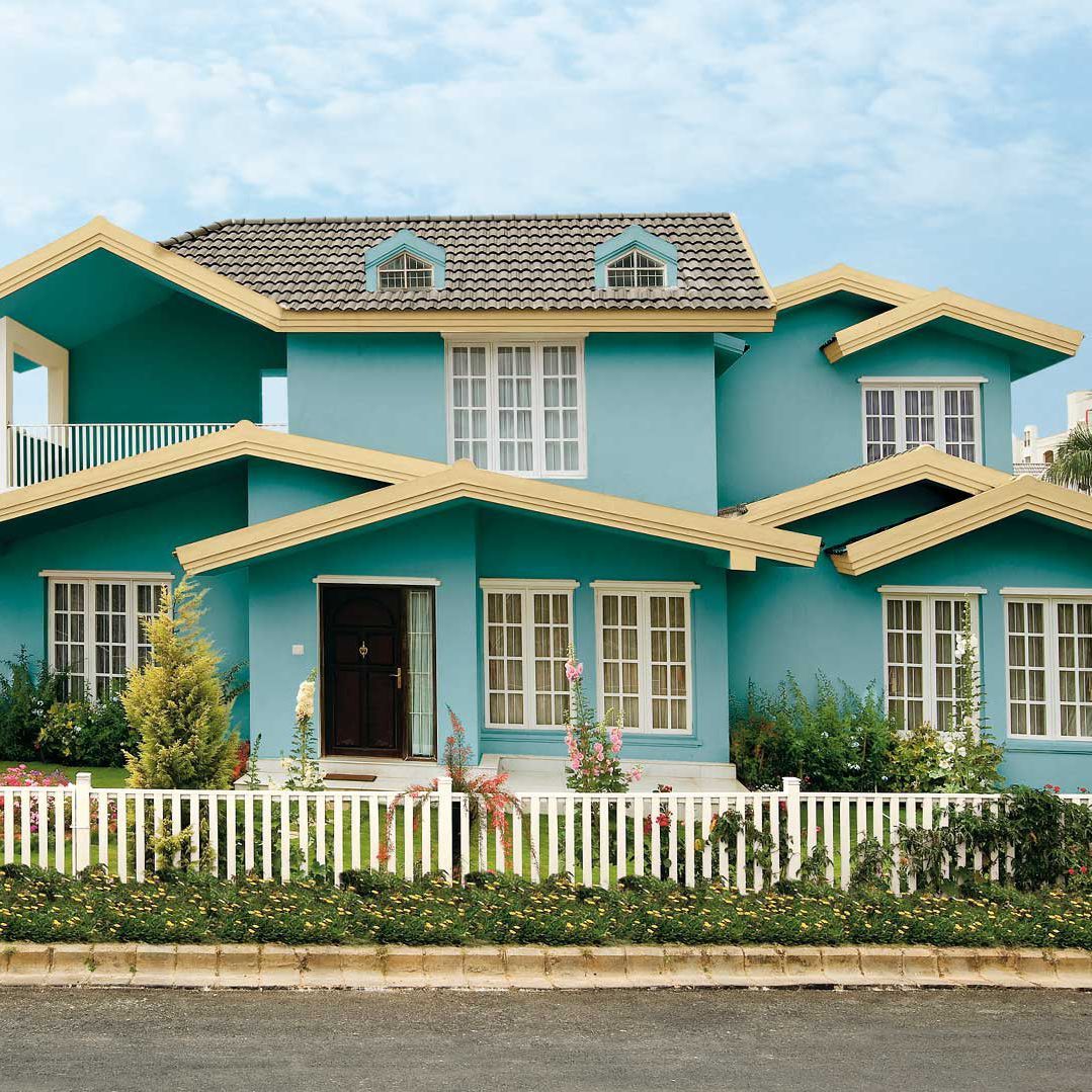 Exterior paint in Jaipur at ₹ 80 / Pkt by Yacca Chemical Industries ...