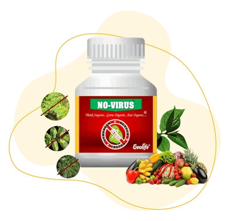 Geolife No Virus Botanical Anti-Viral Product Viricide in Sagar at ...