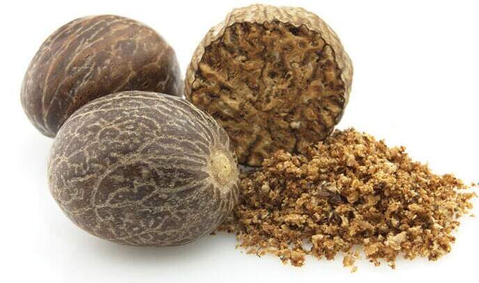 JATHIKAI (Nutmeg) in Chennai at best price by C S R Herbs - Justdial