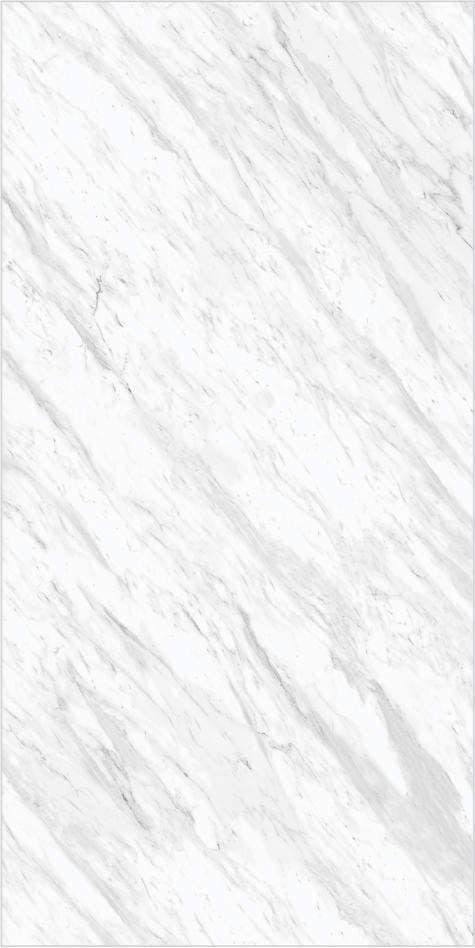 Lioli Carrara Tiles, 2400 x 1200 mm in Jaipur at best price by Shree ...