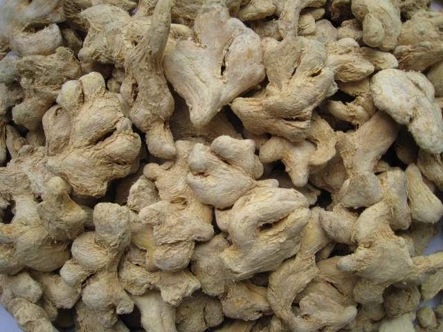 Marudhar Impex Ginger Spice in Bangalore - Dealers, Manufacturers ...