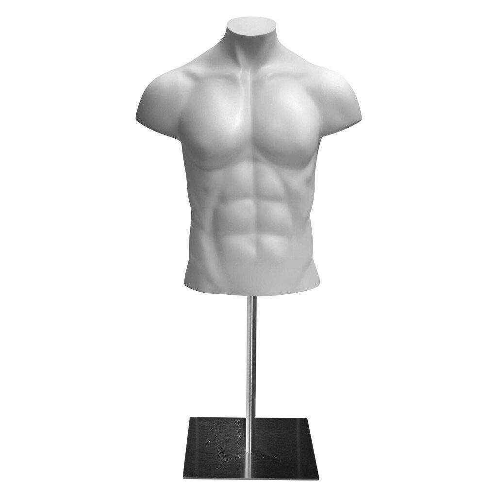 Venus Male Torso Mannequin in Bangalore at ₹ 4,500 / Pc by Venus ...