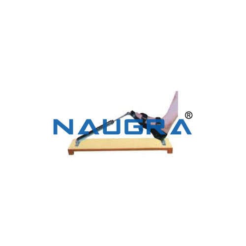 Heel Exerciser in Chennai - Effective Foot Strengthener for Pain Relief ...