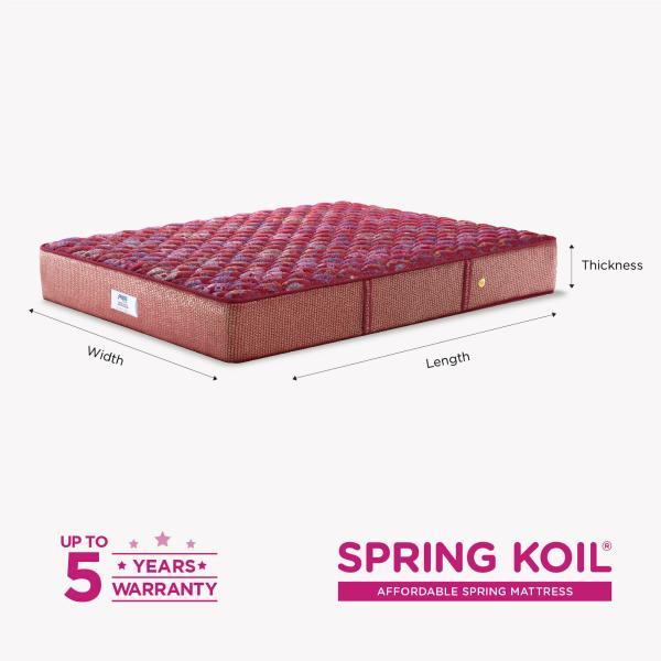 PEPS Springkoil Bonnell 6 inch official Single