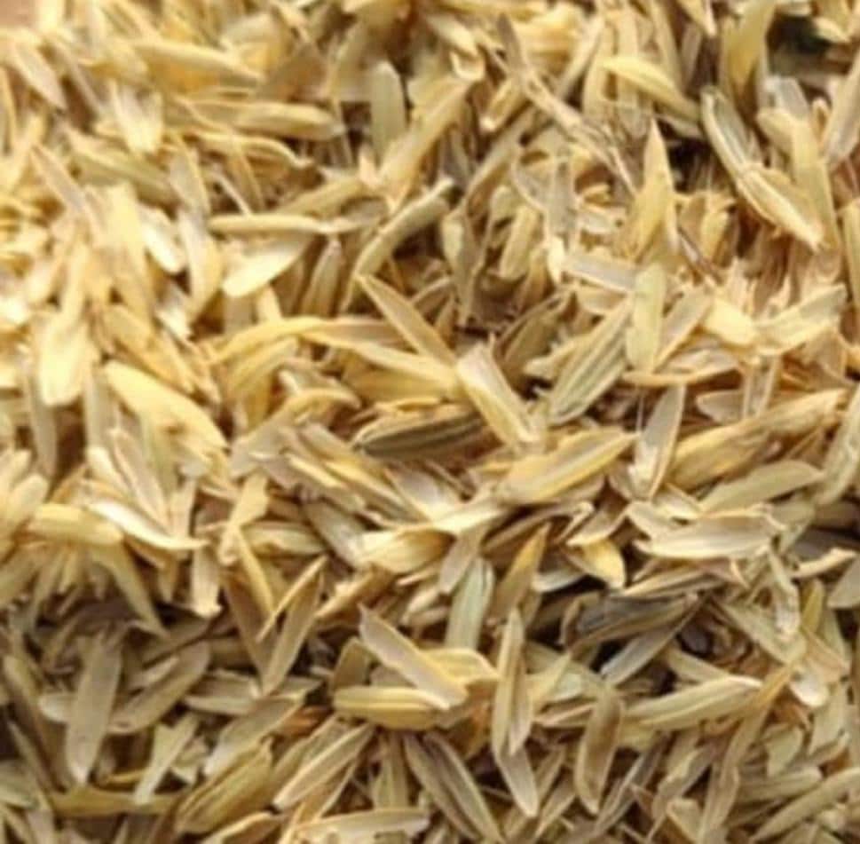 Rice Husk in Meerut at ₹ 8 / Kg by Mohini Pellet Energy - Justdial
