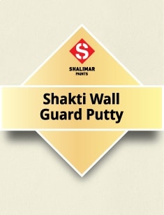 Shalimar Shakti Wall Guard Putty in Khajuraho - Dealers, Manufacturers ...