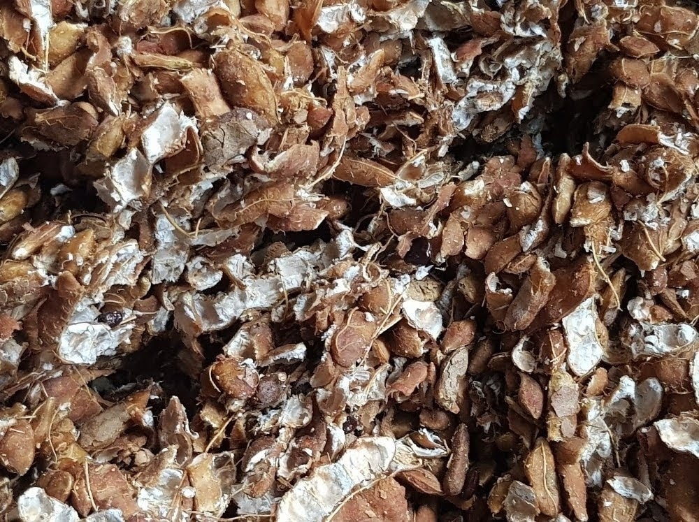 Tamarind seedless in Bijapur Karnataka at ₹ 80 - ₹ 110 / Kg by Shreya ...