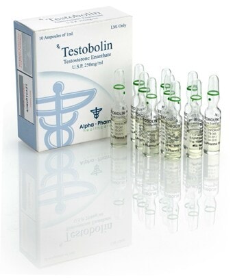 Testobolin Testosterone Enanthate 250mg in Mumbai at best price by ...