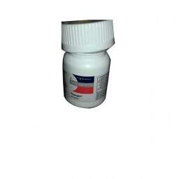 Thaangio Thalidomide Capsules 100mg in Delhi at ₹ 14 - ₹ 128 / Tblt by ...