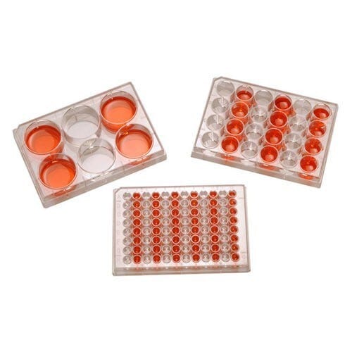 Tissue Culture Plates in Bangalore at ₹ 4 - ₹ 400 / Pc by Lab Systems ...
