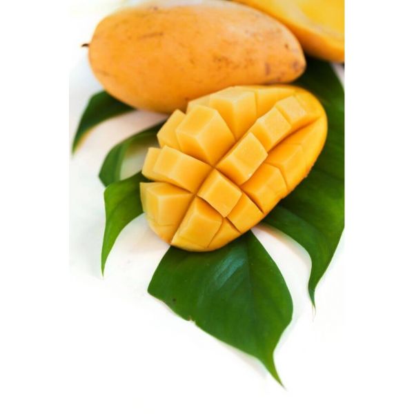 Mango Flavor - Mango Flavour Price Starting From Rs 40/Kg | Find ...