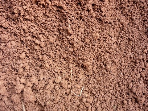 Difference Between Moorum And /What Is The Difference, 45% OFF