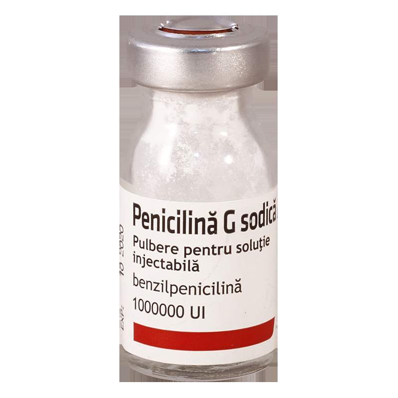 Procaine Penicillin Injection in Nashik - Dealers, Manufacturers ...