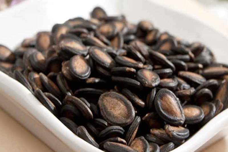 Nunhems Seeds Kalingad - Get Best Price from Manufacturers & Suppliers ...