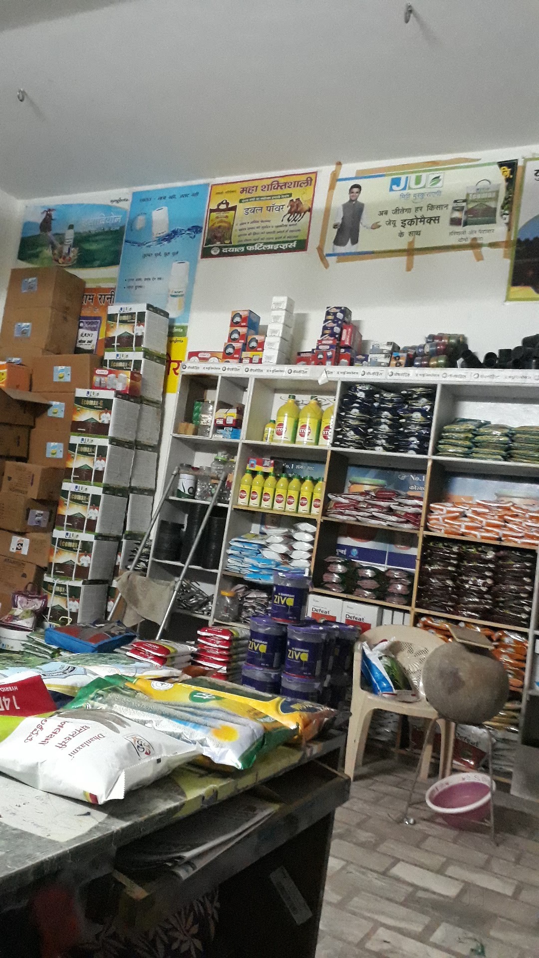 Gujarat Hybrid Seeds in Navrangpura, Ahmedabad - Best Agricultural ...