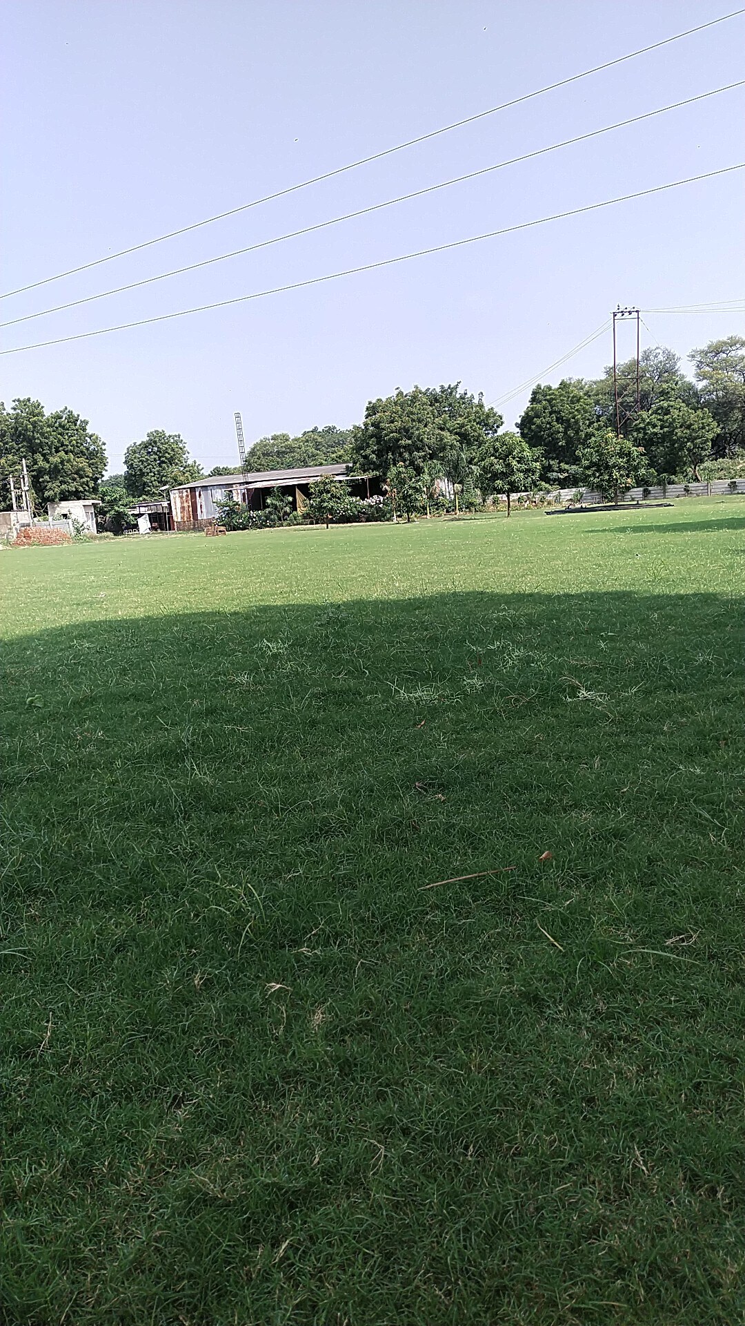 Natha Bapa Ni Vadi Limbadiya in Limbadia, Ahmedabad - Best Agro Farming ...