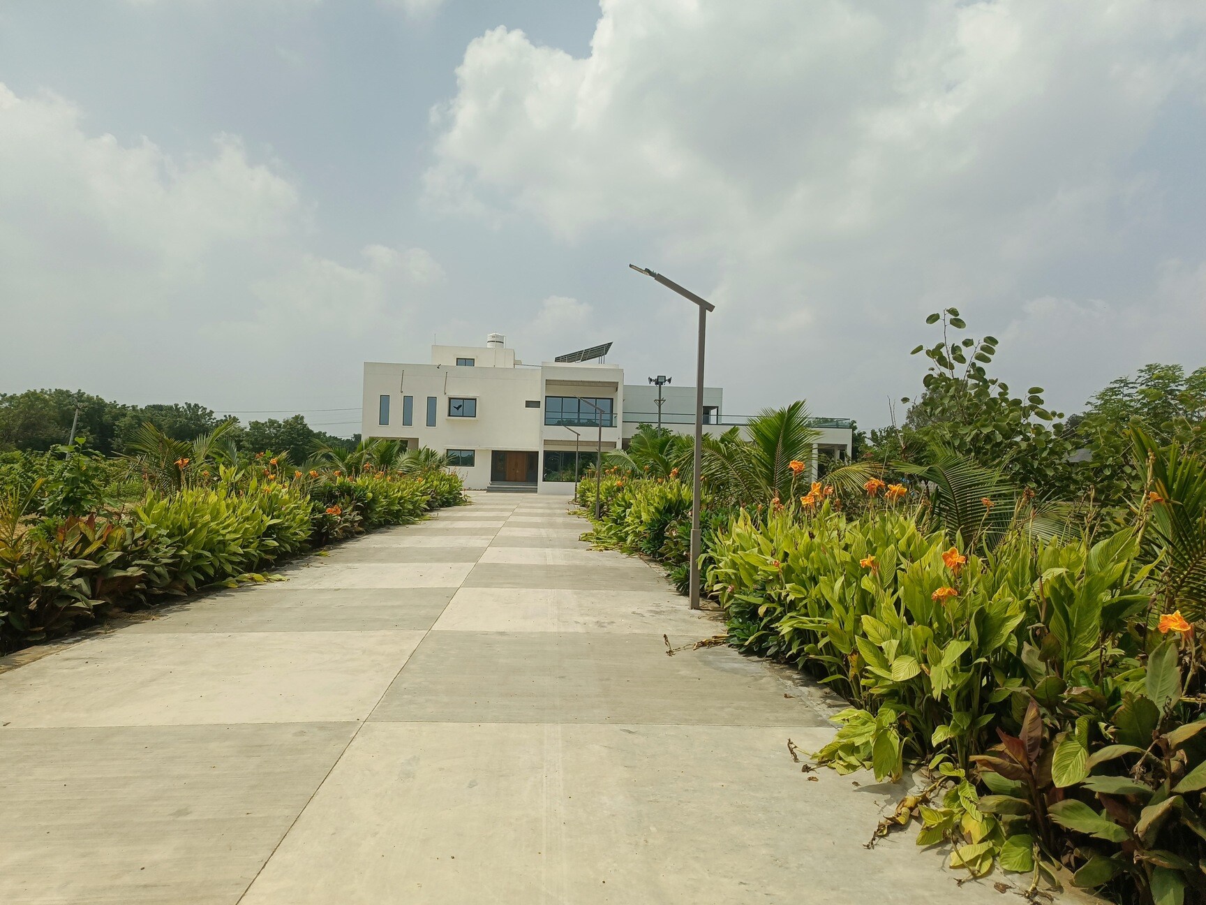 Savya Farm in Bhuvaladi, Ahmedabad - Best Agro Farming Services in ...