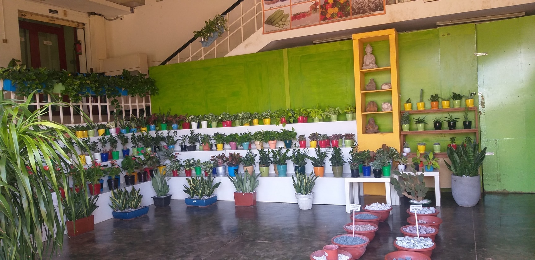 Sri Sai Garden And Nursery in Mahalakshmipuram Layout, Bangalore - Best ...
