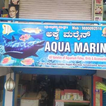 Marine dealers near me store