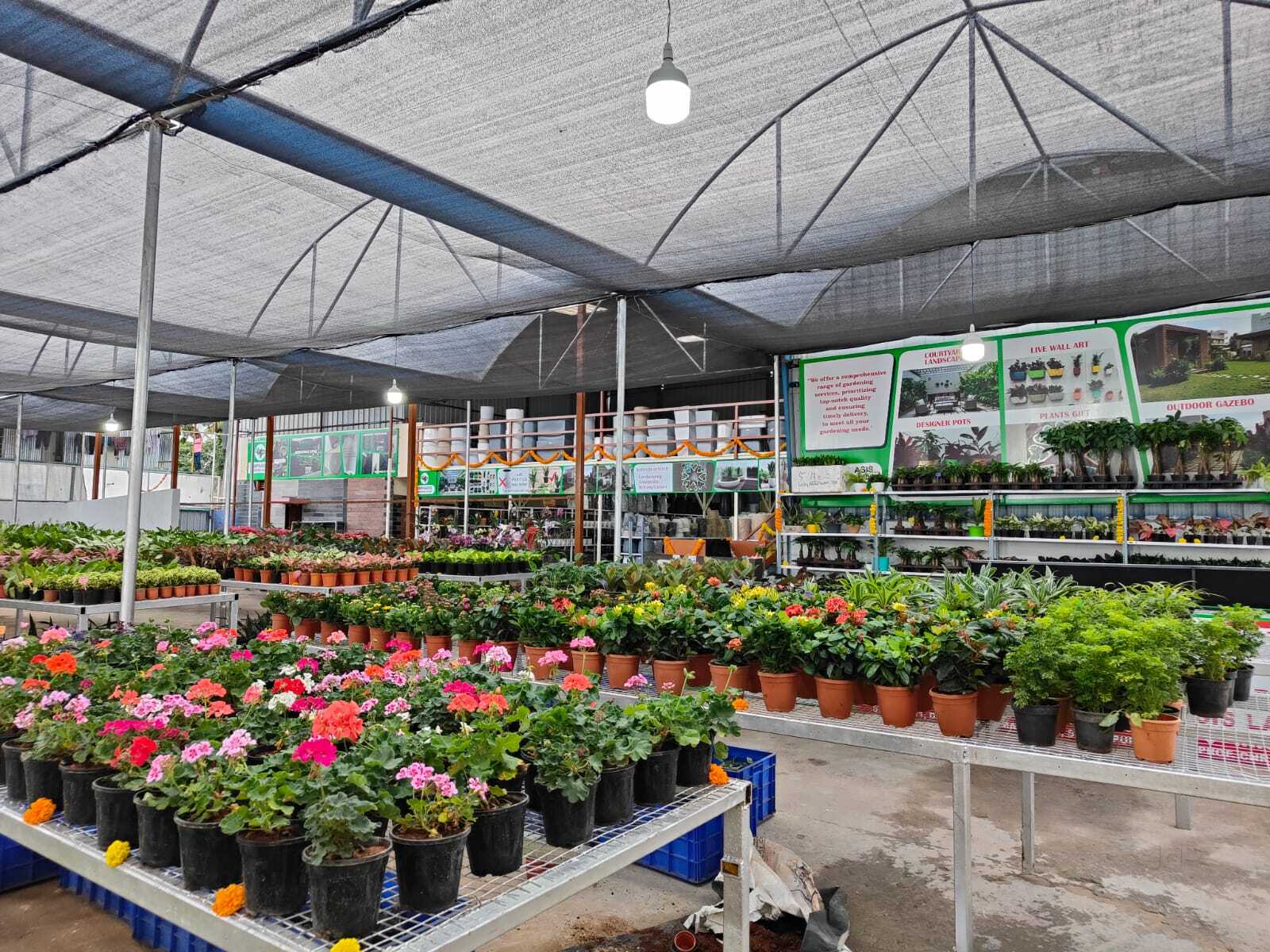 Plant Nurseries in Bangalore - Explore Verified Nurseries & Garden Centers