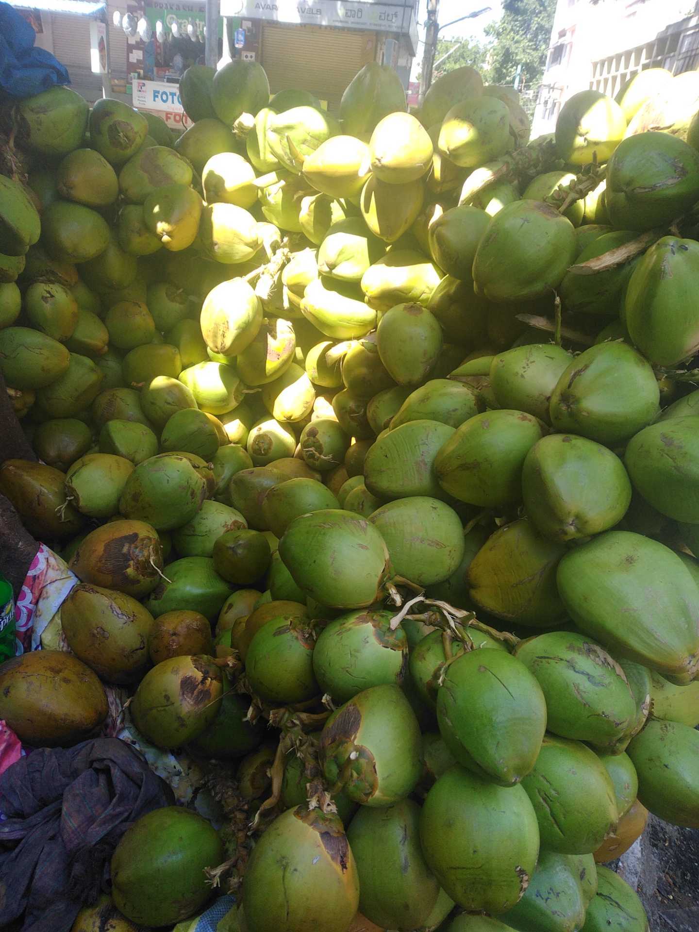 Srinivas Thunder Coconut in Banashankari 3rd Stage, Bangalore - Best ...