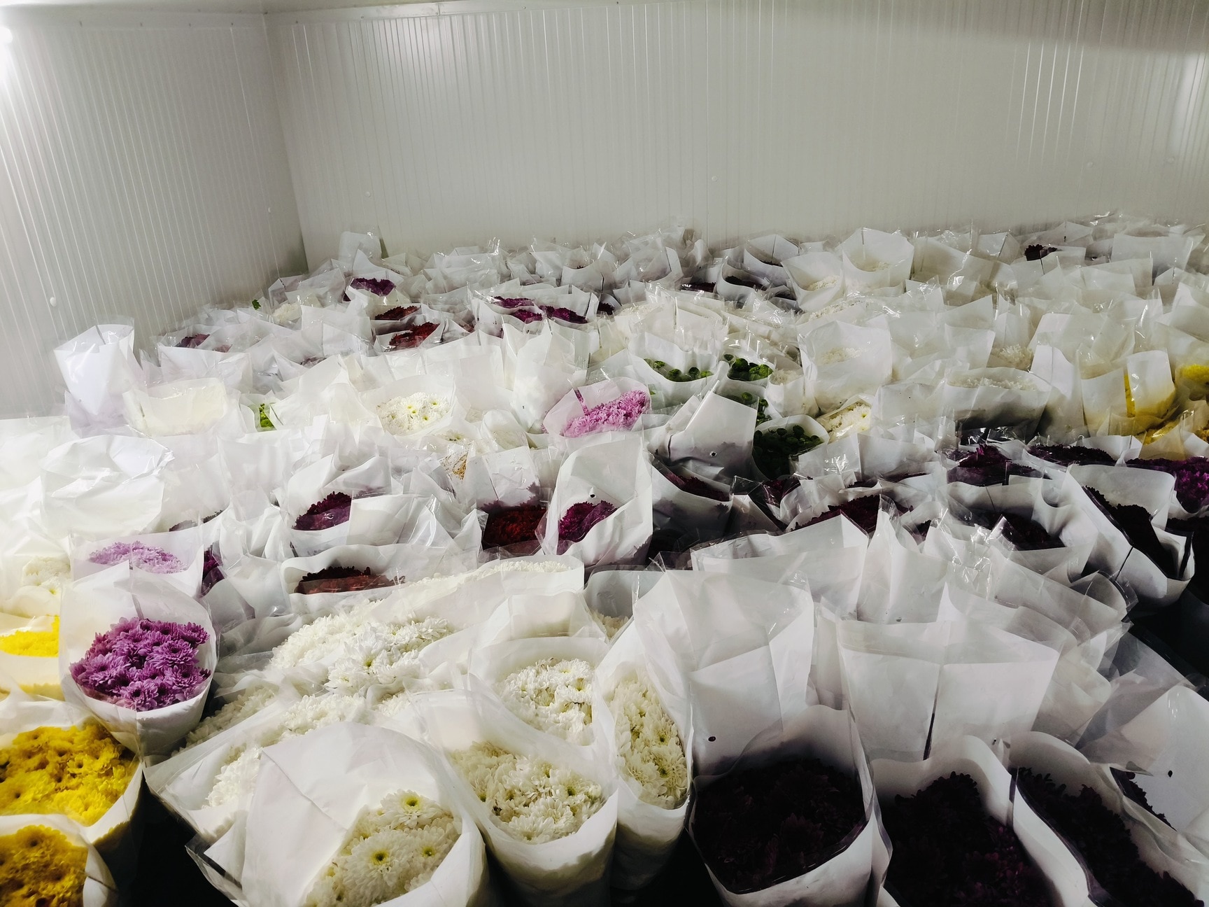 Kuberaa Flowers in Sirsi Circle, Bangalore - Best Flower Markets in ...