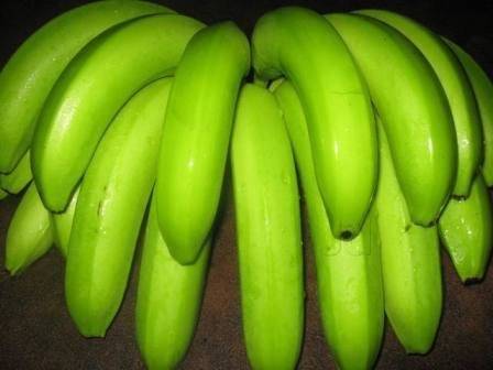 SM Fruits in Begur Road, Bangalore - Best Mango Fruit Wholesalers in ...