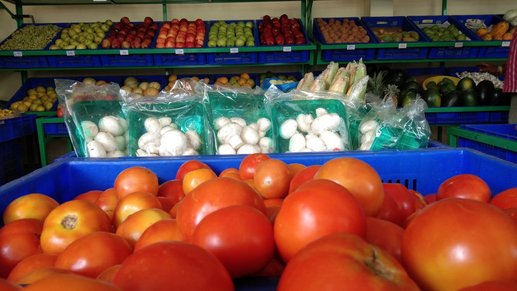 Halli Thota in Sahara Layout, Bangalore - Best Fruit Wholesalers in ...